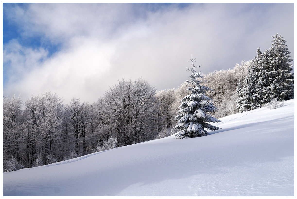 ZIMA| #doliny|| #góry || #lasy| #potoki| #jeziora| #mgły Galeria ...